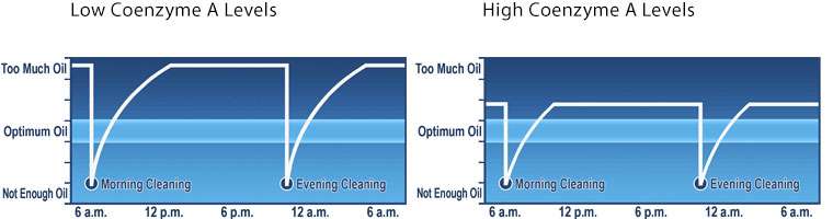 sebum-skin-levels-before-after-coenzyme-a – nicehair.org
